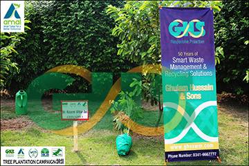 Tree Plantation Activities – GHSSWM