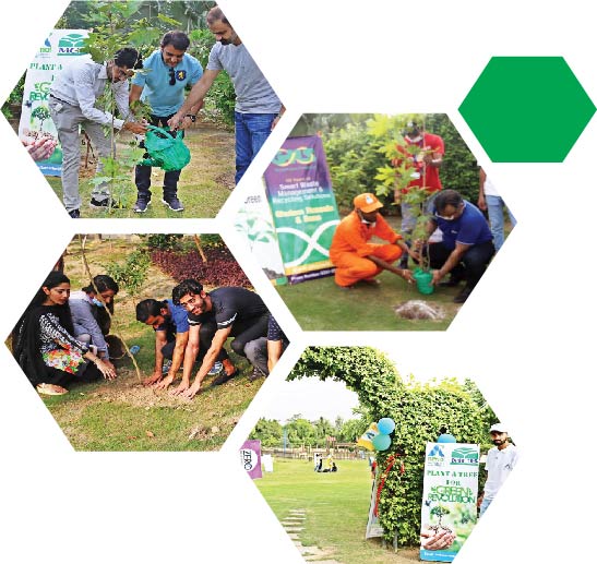 Tree Plantation Programs | GHSSWM